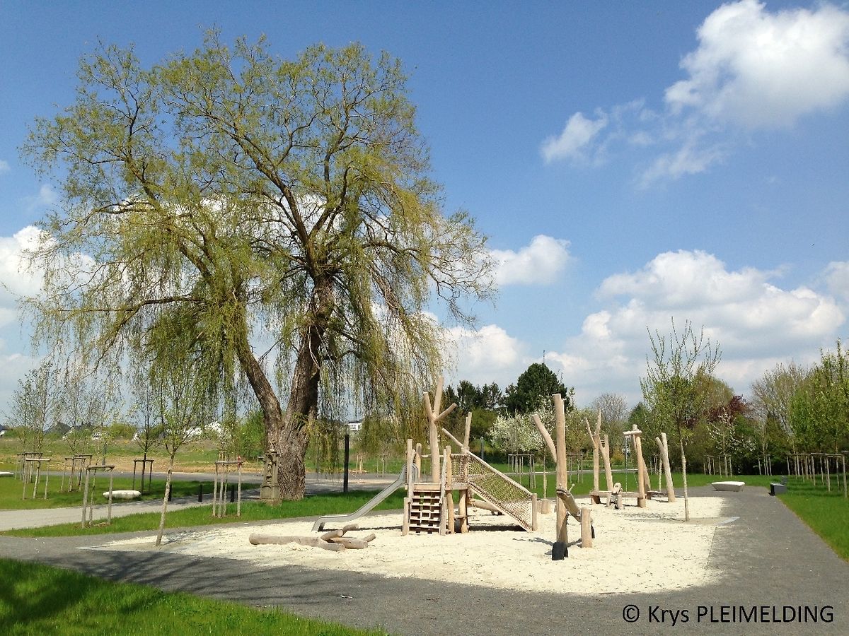 mywort - Aweiung vum Parc Molter