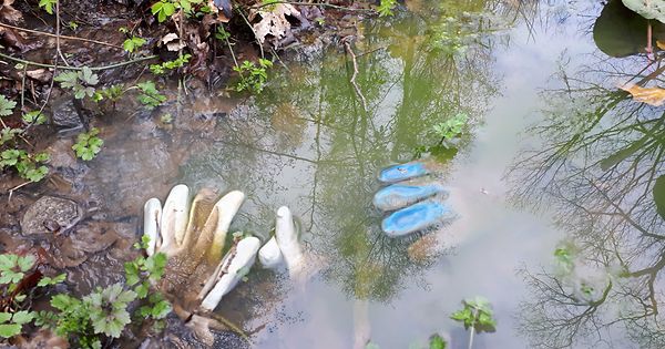 mywort - Dem Kropemann seng Hänn